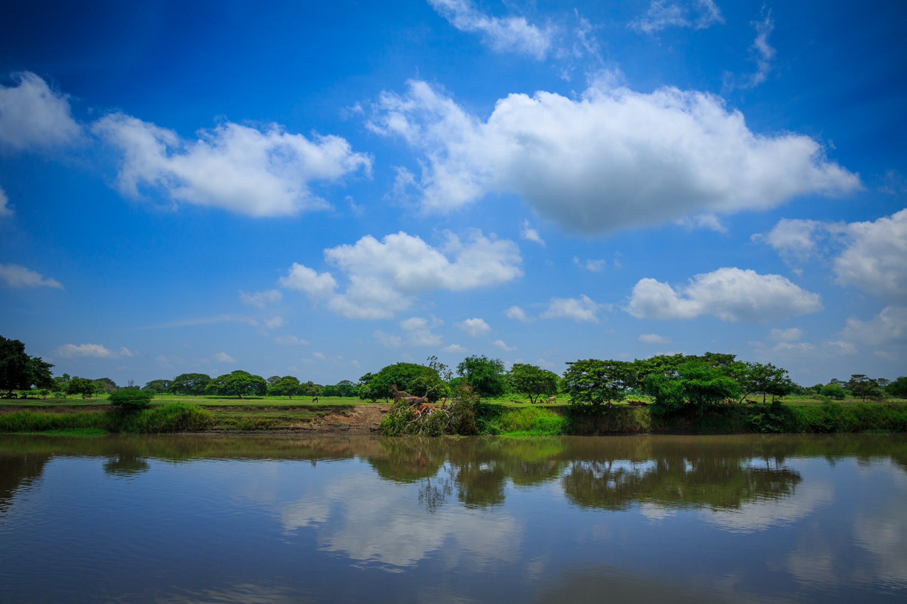 Discovering Mompox - Aventure Colombia