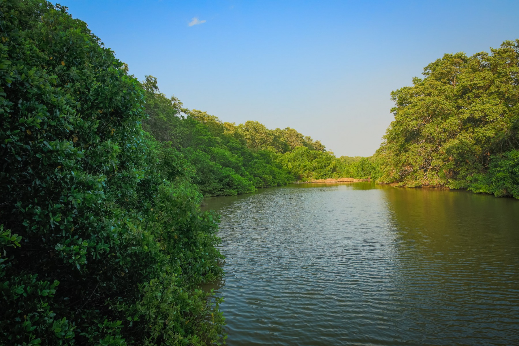 The most famous national natural parks of Colombia - Aventure Colombia